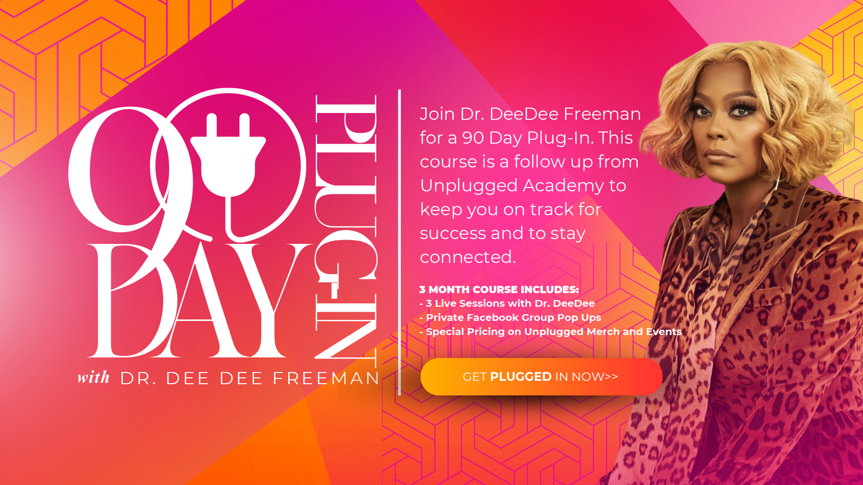 90-Day Plugin (One-Time Investment) | DeeDee Freeman